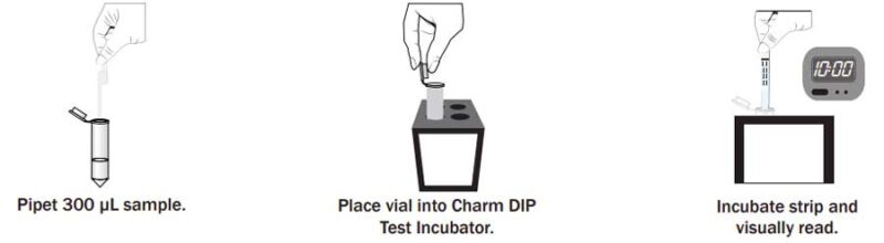 Beta-lactam and Tetracycline DIP Test - Haes Brothers